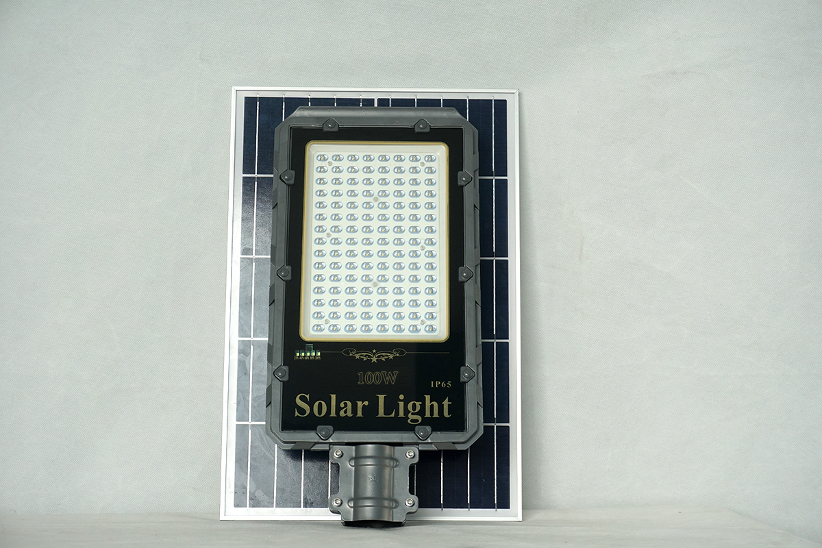 Đèn năng lượng Roiled RD100W pin rời chính hãng