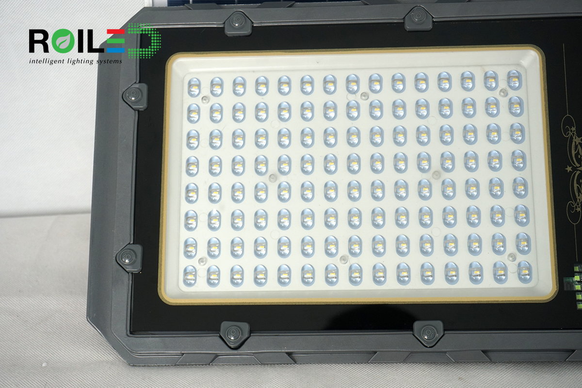 Đèn năng lượng Roiled RD100W pin rời chính hãng