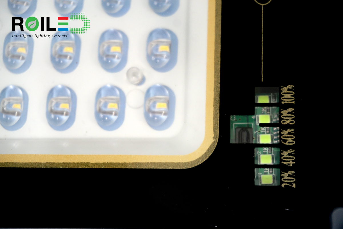 Đèn năng lượng Roiled RD100W pin rời chính hãng